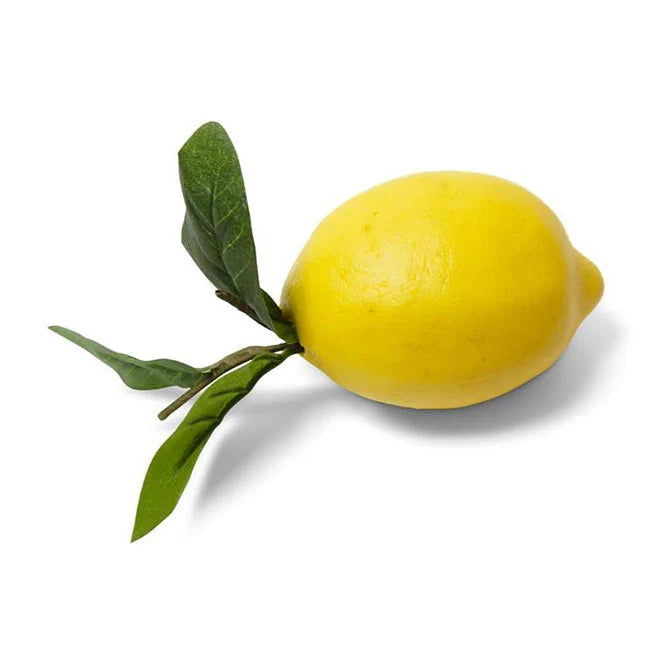 Lemon with Foliage — Haven Haus Co
